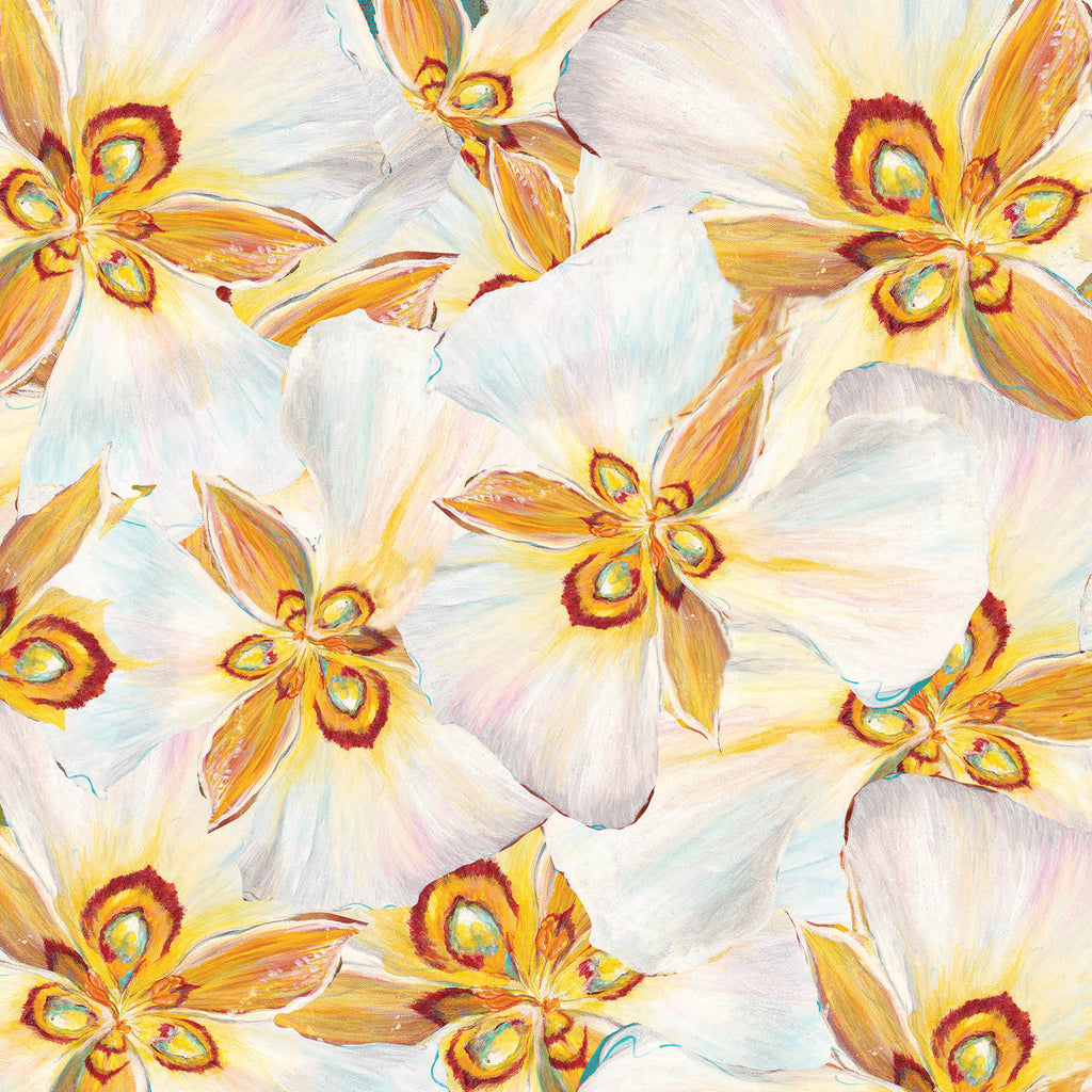 WILDFLOWER II Sego Lily Petals sunset – Villa Rosa Designs
