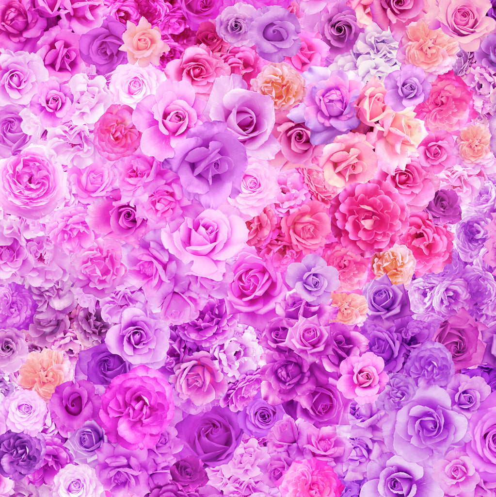GRADIENTS PARFAIT Rainbow Roses purple passion – Villa Rosa Designs